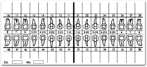 Zahnschema klein | Krankenblätter & Aufkleber